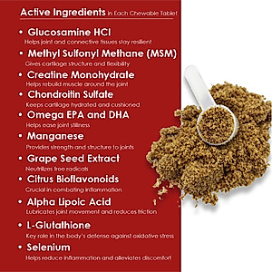 Joint MAX Triple Strength Granules for Dogs - Glucosamine, Chondroitin, Creatine, MSM - Vitamins and Antioxidants - Hip and Joint Pain Relief and Support Supplement - Made in USA - 2-Pack - 240 Doses