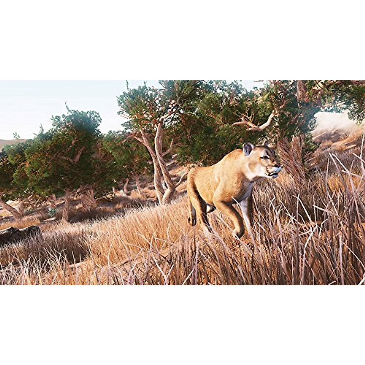 Hunting Simulator - Xbox One
