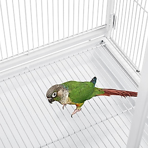 Yaheetech 54" Large Flight Bird Cage for Parrots Macaw Cockatiels Sun Parakeets Lovebird Green Cheek Conures African Grey Small Quaker Amazon Parrots with Rolling Stand, White
