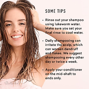 Just Nutritive Dandruff Clear Scalp Shampoo | Anti Dandruff Treatment | Natural Shampoo for Men and Women | Gentle Cleansing Shampoo for Dry Irritated Scalps 16 Fl Oz