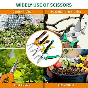 Garden Pruning Shears 3 Pack Gardening Shears Garden Scissors Stainless Steel Garden Shears Pruning Scissors Garden Clippers Pruning Shears for Gardening Garden Tools