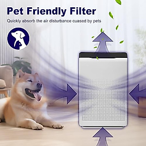 3 Pack 115115 HEPA Replacement Filter A Size 21 Compatible with Winix PlasmaWave C535 5300 5300-2 5500 5500-2 6300 6300-2 P300 AM90 9000 5000 5000B C909 9800 Air Purifier by PETOX