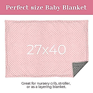 berry bebe Personalized Baby Blankets with Name, Newborn Baby Girl Gifts, Custom Baby Name Blanket, Plush and Cozy Minky, Baby Gifts for Newborn, Customized Pink Blanket for Baby Girl