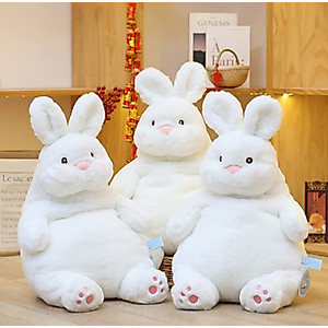 Alwoligag Rabbit Stuffed Animal Plush Toy, Rabbit Anime Body Pillow, Kawaii Plush Stuff Animal, Big Plushie Stuffed Dog Squishy Pillow Gifts for Boys Girls (24")