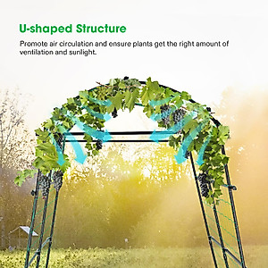 VIVOSUN 7Ft. Arch Trellis for Climbing Plants, 7 x 6 x 7ft Tall Metal Tunnel Trellis, Lightweight Metal Plant Support Archway with Nylon Netting for Climbing Vine, Vegetables, Fruits, Flowers, Black