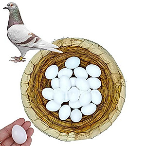 Pigeon False Eggs Fake Eggs 10pc Filled Plastic Simulation for Hatch Breeding Supplies Dropship Plastic Pigeon Egg Solid Pigeon Fake Egg Pigeon Hatching Supplies