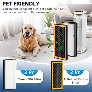 4 Pack Replacement Filters Compatible with HoMedics PetPlus at-PETODR Filter and TotalClean at-OFL Filter for AT-PET01, AT-PET02,and AR-45