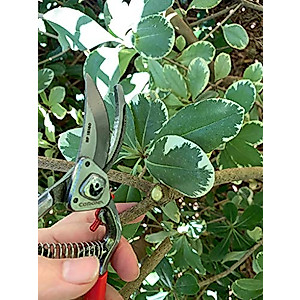 Corona Tools | ClassicCUT ClassicCUT® Branch & Stem Pruning Shears for Gardening | Cuts Branches and Stems up to 1-inch in Diameter | BP 15180