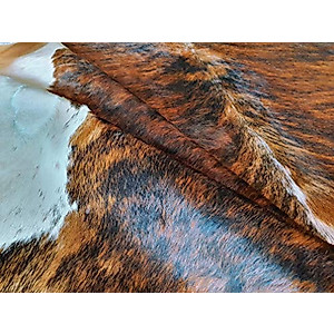ecowhides | Genuine Cowhide Rug, Cowskin, Brindle White Belly, Western Home Decor, Premium Quality, Living Room Accessories, (X-Large) 7 x 6 ft