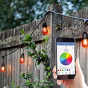 Feit Electric 24" 12pc. Light Color Changing Smart WiFi String Lights with Scheduling Features and Works with Alexa/Google Assistant, Heavy Duty and Weather Resistant - Clear Bulb - SL24-12/RGBW/AG