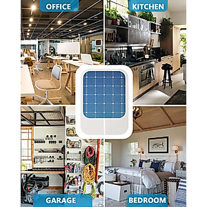 Dichroma 40 Pcs Flying Insect Trap Refill Compatible with VEYOFLY Fly Trap VF01, Replacement Sticky Glue Boards for Fly Trap Indoors Plug-in