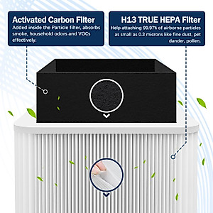 Lantiny 211+ Replacement Filter Compatible with Blueair Blue Pure 211+ Air Cleaner Purifier，Particle and Activated Carbon Replacement Filter，2 Pack