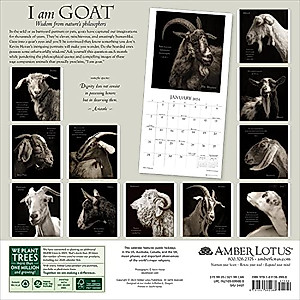 I Am Goat 2024 Wall Calendar: Animal Portrait Photography by Kevin Horan and Wisdom From Nature's Philosophers | 12" x 24" Open | Amber Lotus Publishing