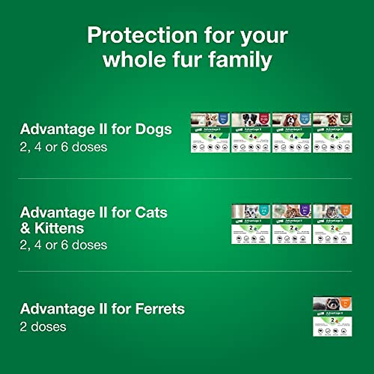 Advantage II Small Cat Vet-Recommended Flea Treatment & Prevention | Cats 5-9 lbs. | 3-Month Supply