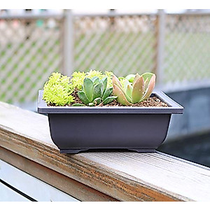 MUZHI 6PCS/Pack Retro Style Basin Plastic Flower Pot 6.5 Inch Flower Bonsai Tree Plant Bowl Nursery Pots Maceta Cuadrada Simulational Purple Sands Pots with Tray Rectangle Small