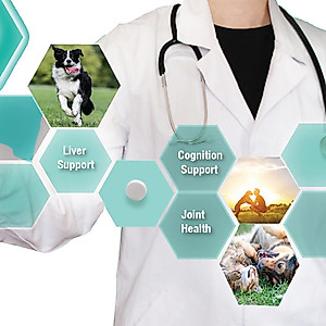 Denestra - Same for Dogs - S-Adenosyl-L-Methionine - Liver, Joint and Cognitive Support for Large Dogs - Vet Approved - 400 mg - 60 Tablets