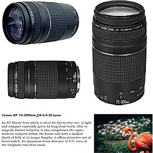 Canon EOS 5D Mark IV DSLR Camera Bundle + EF 24-105mm f3.5-5.6 is STM + EF 75-300mm f4-5.6 III + Canon EF 50mm f1.8 STM & Accessories