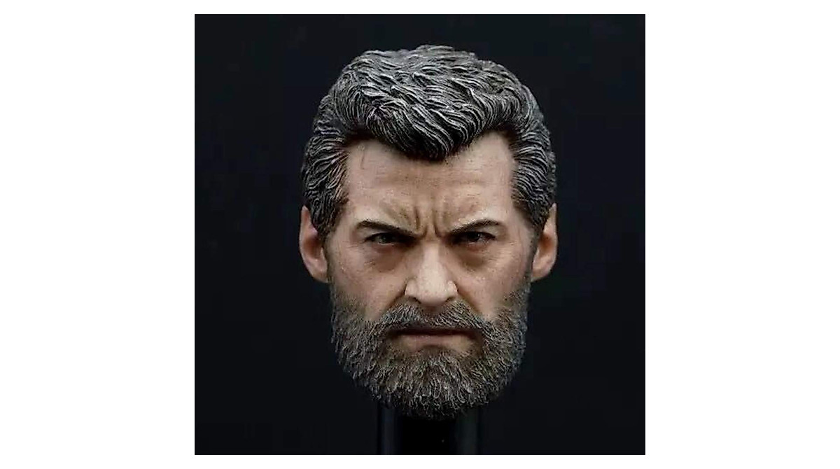 HiPlay 1/6 Scale Male Figure Head Sculpt for Collectors
