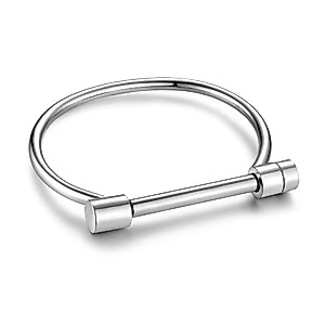 Carweilon Cuff Bracelet Bangle Bar Screw Shackle Novelty High Polished Stainless Steel Jewelry For Men Women Unisex Girls Boy (White Silver)