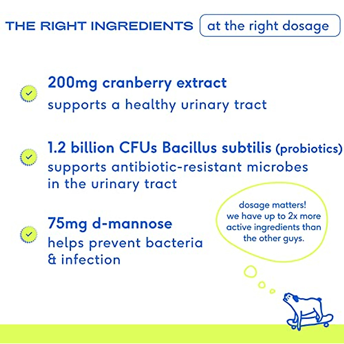Native Pet Dog UTI Treatment - Cranberry Chews for Dogs and Cat UTI - Bladder Control for Dogs - Dog Urinary Tract Infection Treatment - UTI Medicine for Dogs - Dog Cranberry Supplement - 60 Chews