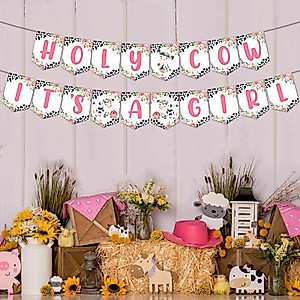 Cow Baby Shower Decorations for Girl Holy Cow Its a Girl Baby Shower Banner Pink Holy Cow Farm Animal Baby Shower Barnyard Cow Print Baby Shower Decorations