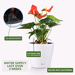 Dexceder 11x10 Inches High Gloss Self Watering Planter Indoor Outdoor, Inner Pot Design, Thickened Table Flower Plant Pot with Water Level Indicator (White)
