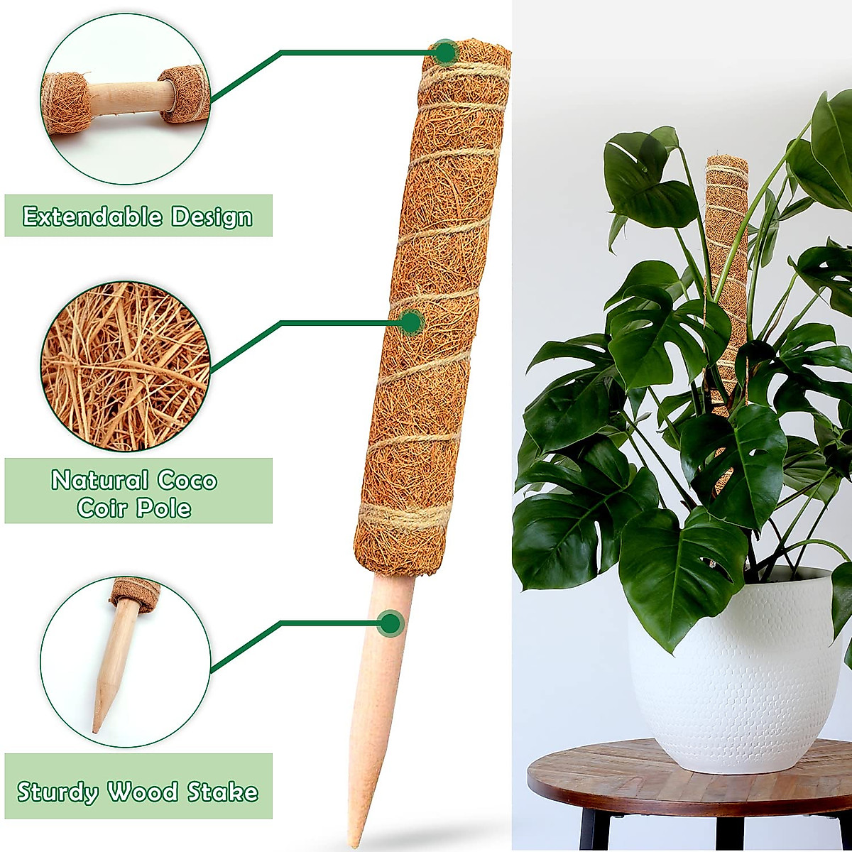 Moss Pole - 26.4 Inch Moss Pole for Plants Monstera, 2 Pack 15.7 Inches Coco Plant Pole for Climbing Indoor Potted Plants, Train Monstera Philodendron Pothos Creeper Plants Grow