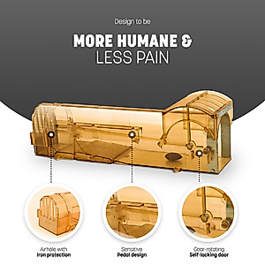 KEPLIN Humane Mouse Trap - No Kill Mice Traps, Pets and Children Friendly, Catch and Release Animal, Rodent and Chipmunk Trap, Indoor/Outdoor - 1pk Black