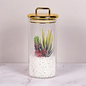 YUEJUM 32 oz Large Acrylic Storage Apothecary Jar with Gold Airtight Lid | Bathroom Vanity Organizer Containers | Perfect Decorative Canisters for Shells, Bath Salt, Grains, Cotton Ball, Flossers
