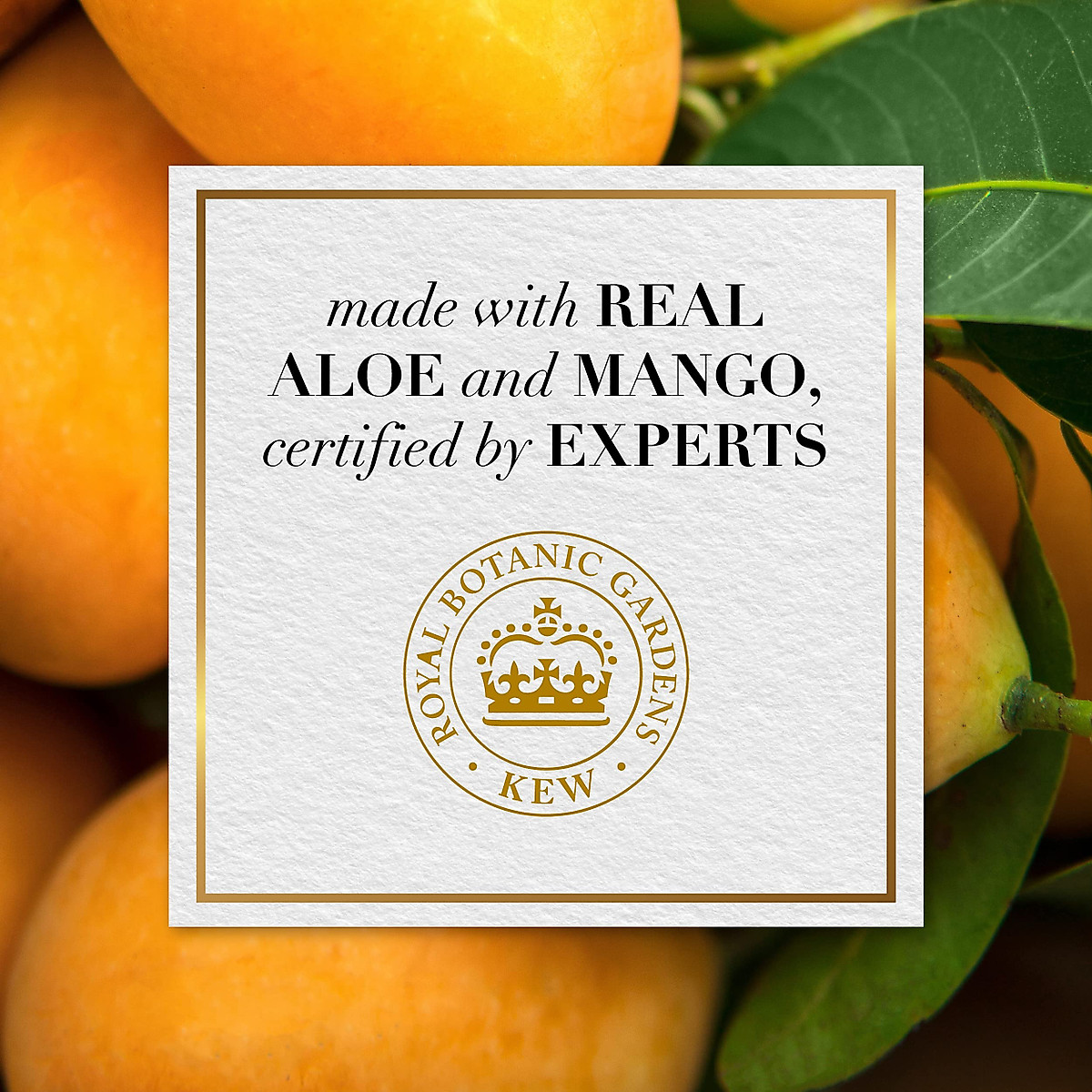 Herbal Essences bio:renew Sulfate Free Shampoo & Conditioner 13.5 Fl Oz each, and Curl Cream 6.8 Fl Oz Set â€šÃ„ì With Mango + Potent Aloe, Complete Curly Hair Care for Defined Curls