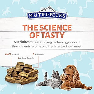 Nutri Bites Freeze Dried Liver Treats for Dogs & Cats - High-Protein Single Ingredient Freeze Dried Dog Treats, Beef Liver - Grain Free, Easy to Digest - Proudly Made in Canada - 500g / 17.6oz (3pk)