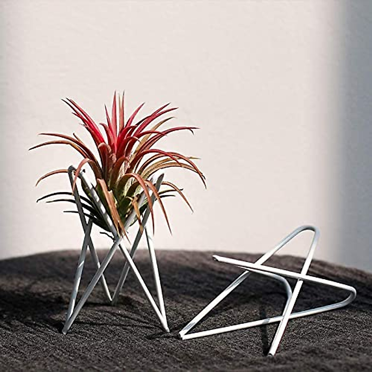 4 Packs Airplant Plants Holder Metal Base Geometric Air Plants Stand Tabletop Air ferns Planter Rack White Tillandsia Display Containers Himmeli Decor .