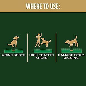 Scotts EZ Seed Dog Spot Repair Sun and Shade - 2 Lb., Mulch, Seed and Soil Amendment with Protectant and Tackifier, Repairs Pet Spots