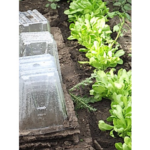 BOTARO GRO-Caps Reusable Plant Covers (30 Pack) Plant Protection from Frost, Cold Weather, Garden Insects, Pesticides, Rodents & Rabbits for All Your Plants, Vegetables & Flowers. Grow Organic