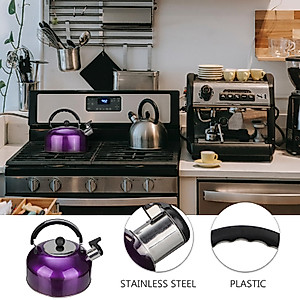 Tea Kettle for Stove Top: Purple Whistling Teapot 3Quart Stainless Steel Teapot Heating Water Container with Handle for Home Gas Stovetop