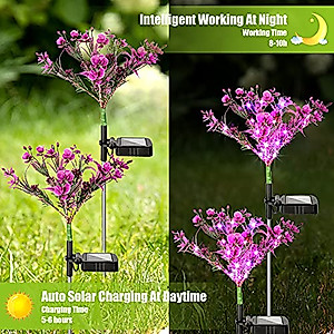 EEEkit Solar Garden Lights Outdoor Decorative, 2 Pack IP65 Waterproof Solar Phalaenopsis Flowers Stake Lights with 28 LED for Patio, Garden, Yard, Lawn, Pathway Driveway Pool Balcony Decoration