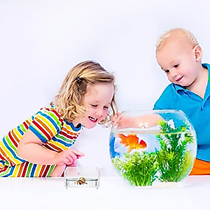 balacoo 2pcs Acrylic Reptile Terrarium Reptile Aquarium Breeding Tank Transparent Reptile Feeding Box Bathing Pool for Frogs Hermit Crabs Lizards Tank