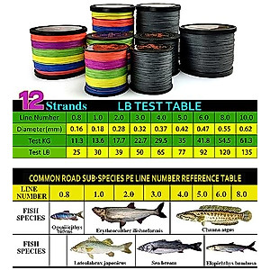 12Strands PE Braided Fishing Line Super Strong Multifilament Fishing Line 0.8-10#