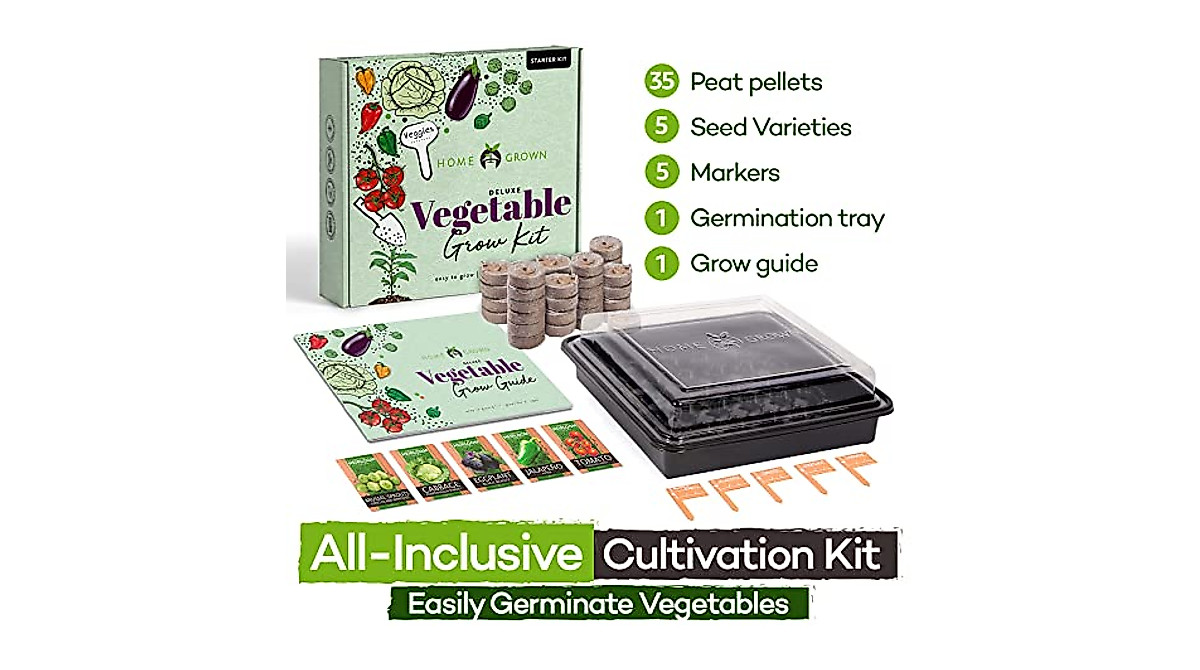 Vegetable Garden Starter Kit with 250+ Seeds – Indoor Gardening Made Easy
