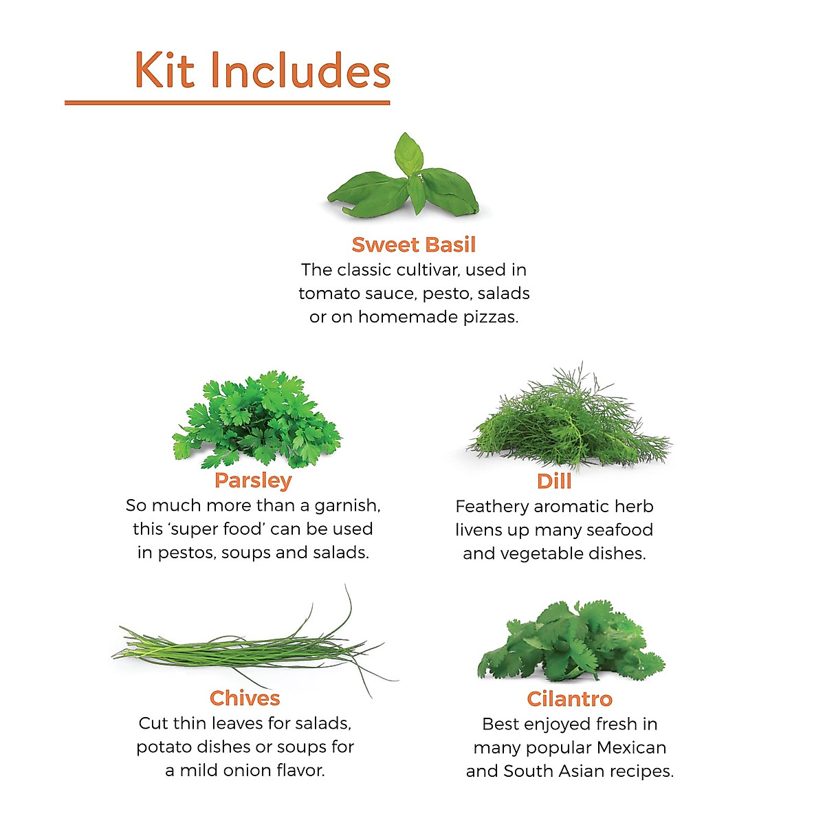 Burpee Culinary Garden Starter Kit Packets, 5 Pots, 5 Coir Pellets & 5 Plant Markers Non-GMO Herb Seeds: Cilantro, Dill, Parsley, Sweet Basil & Chives