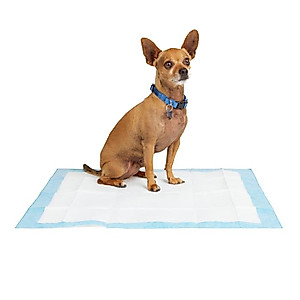 So Phresh Essentials Potty Pads, Count of 150