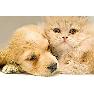 cat Vitamin Treats - Ultra PET Vitamins - Chews - for Dogs and Cats - Mineral Supplement - Vitamin e for Cats - 180 Treats (2 Bottles)