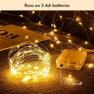 Twinkle Star 33FT 100 LED Silver Wire String Lights Fairy String Lights Battery Operated LED String Lights for Christmas Wedding Party Home Holiday Decoration, Warm White, Pack of 1