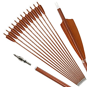 wolfman 30" Archery Carbon Arrows Spine 500 600 Hunting Arrows with 4” Turkey Feather Targeting Arrows for Compound & Recurve &Traditional Bow 6/12pcs (12pcs + Tube, Spine 500)