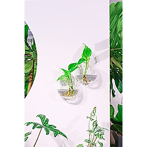 Ivolador Wall Mounted Plant Terrariums Oblate Hanging Glass Propagation Station Container for Propagating Hydroponic Plants Home Garden Wedding Décor