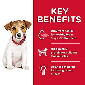 Hill's Science Diet Dry Dog Food, Puppy, Small Bites, Chicken Meal & Barley Recipe, 4.5 lb. Bag