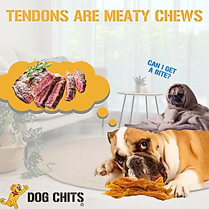 Dog Chits Beef Tendons for Dogs and Puppies | Large 7-9-inch | Odor Free | All Natural, Treats | Hardy Chew for Large and Small Dogs | Premium Grass Fed Beef | 6 Pack