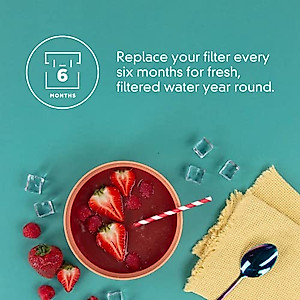 Everydrop by Whirlpool Ice Filter, F2WC9I1, Single-Pack