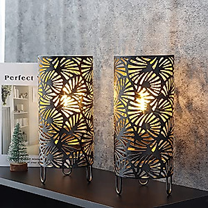JHY DESIGN Set of 2 Metal Lamp Battery Powered 9''High Accent Cordless Lamp with LED Bulb Huge Fan Patterned Battery Lamp for Weddings Parties Patio Garden Indoors Outdoors Table Bed Room
