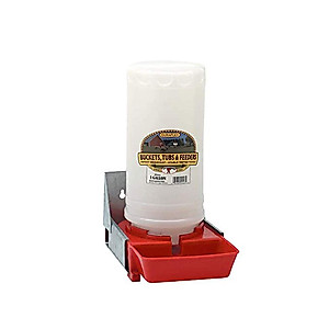 Little Giant BPW4 1-Gallon Impact Resistant Translucent Polyethylene Piglet Waterer (2 Pack)